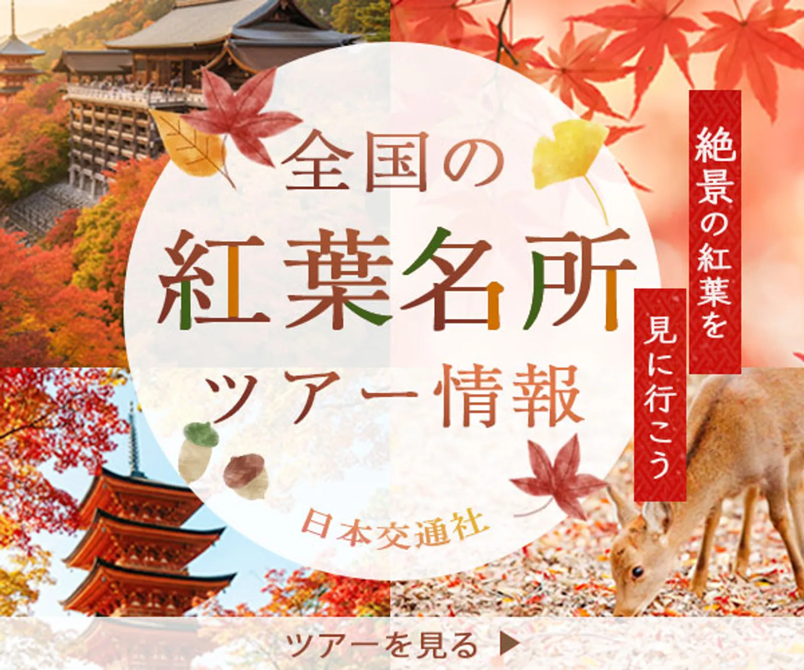 バナー：旅行（秋）