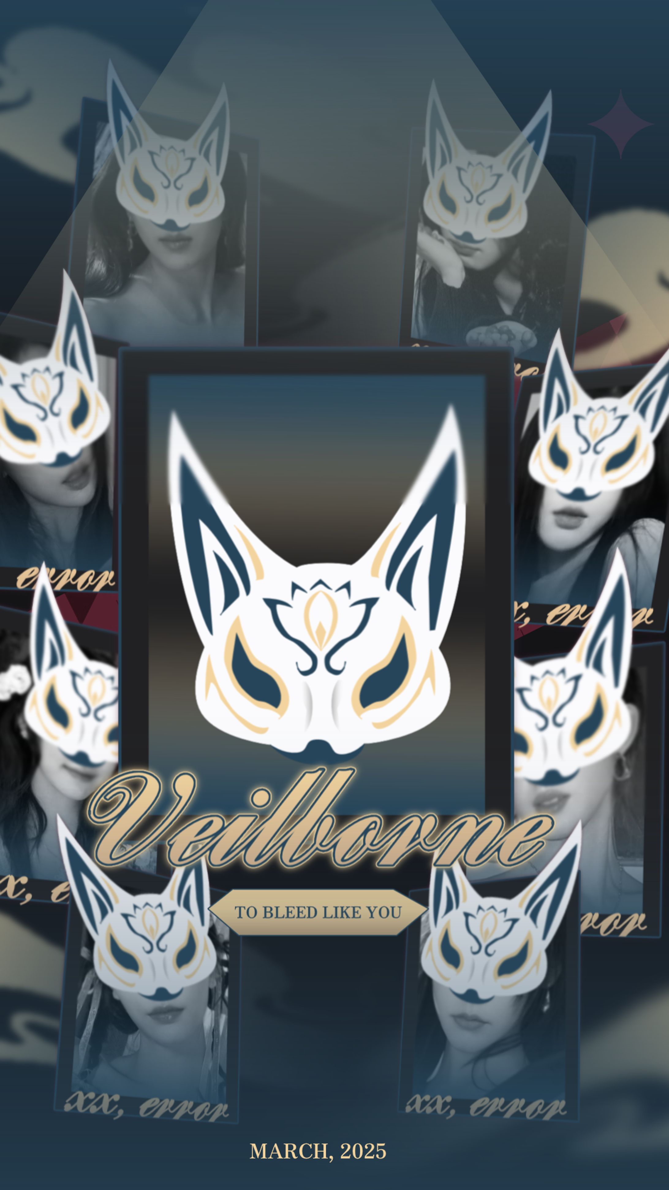 ⋆𐙚₊ SET UP; VeilBorne
