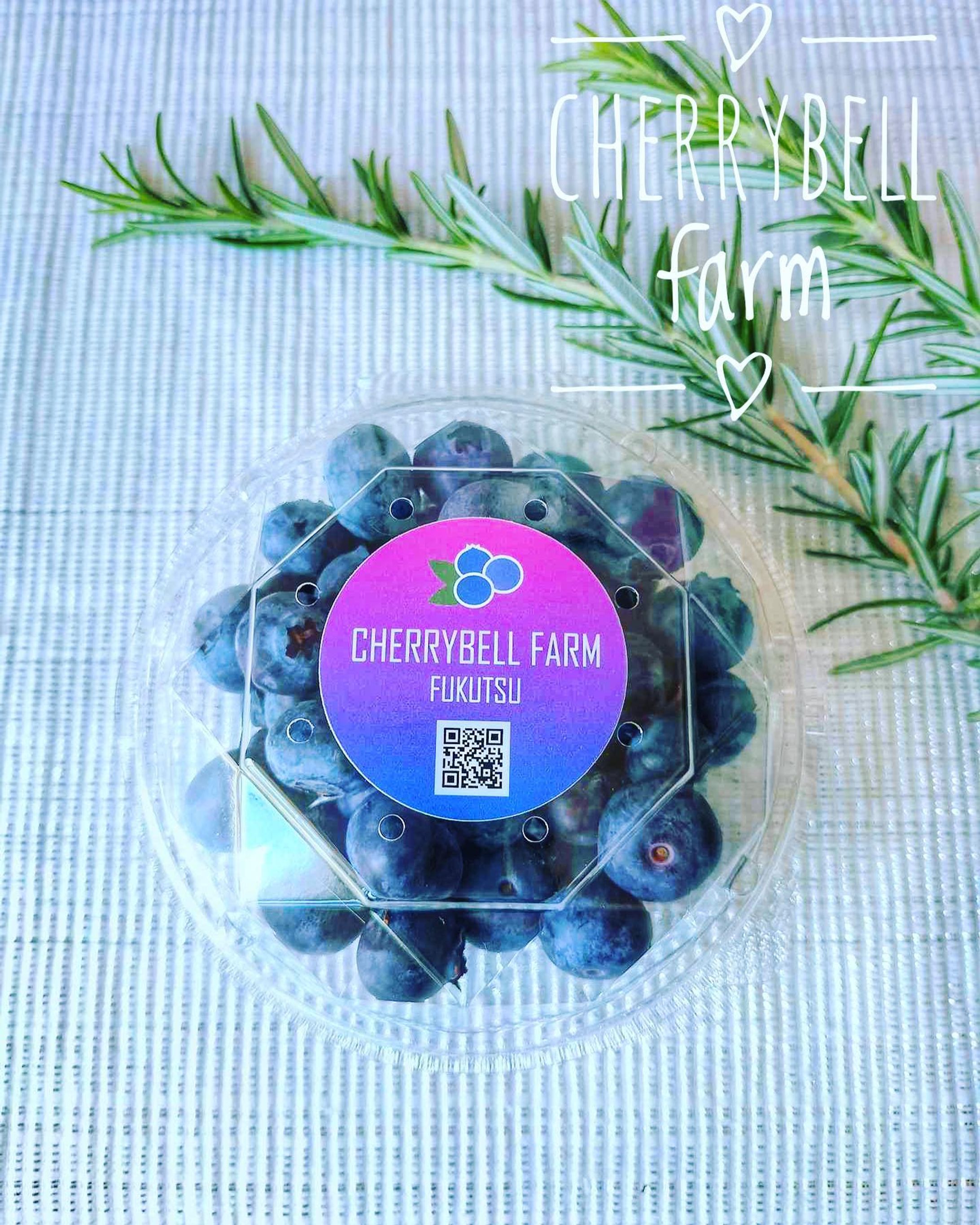 CHERRYBELL FARM | LABEL