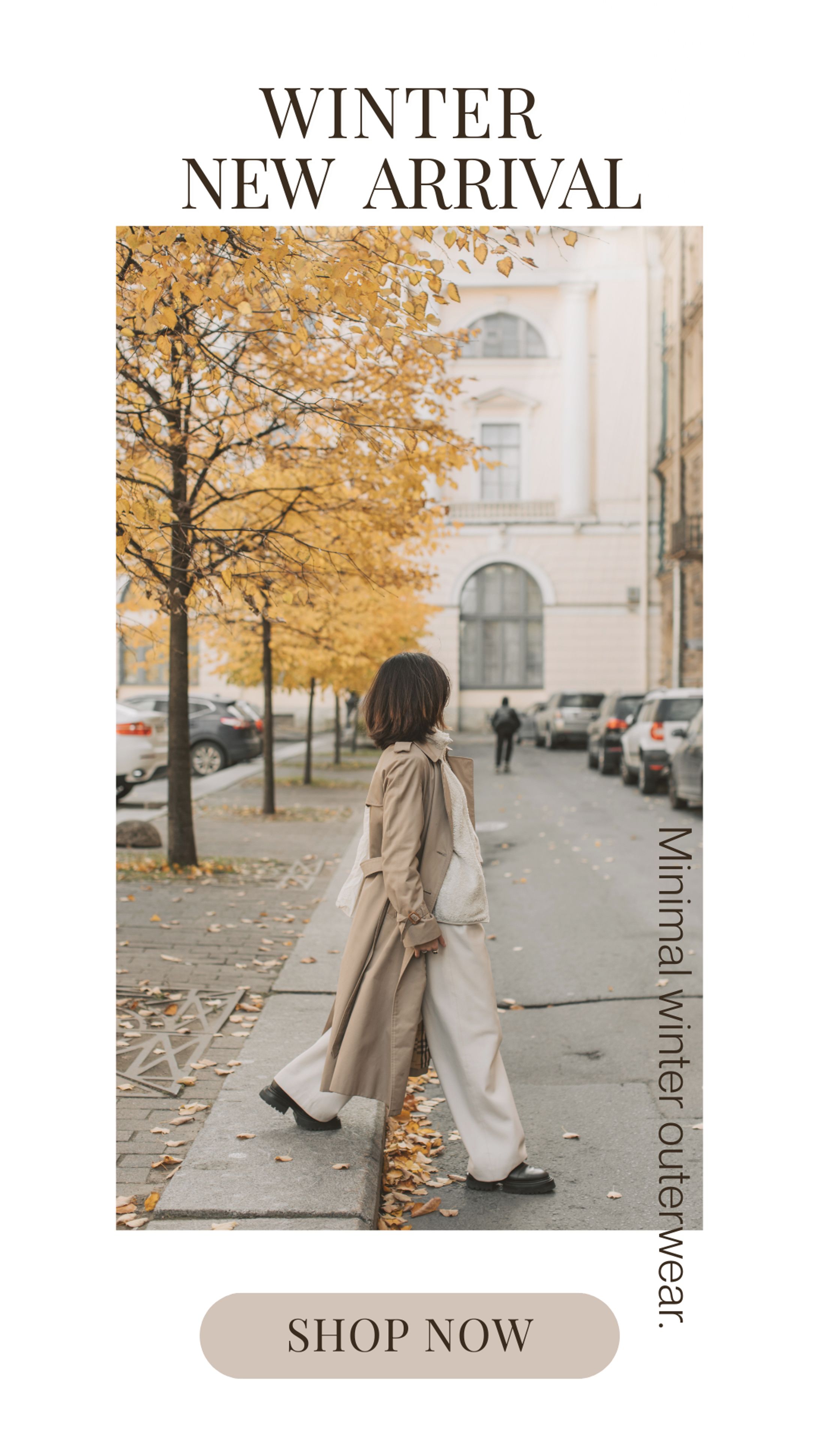 Apparel Visual Design/架空案件