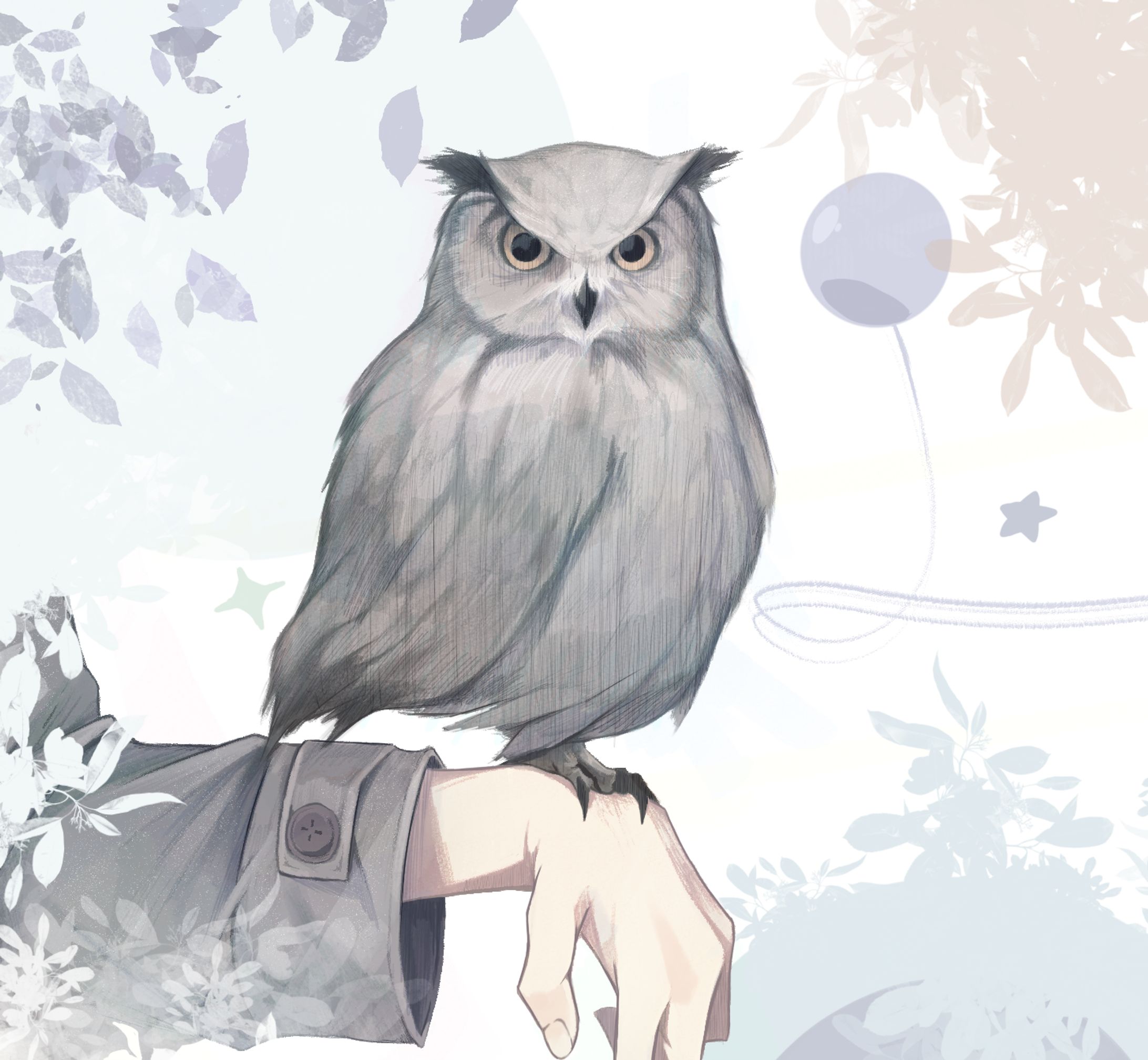 Owl