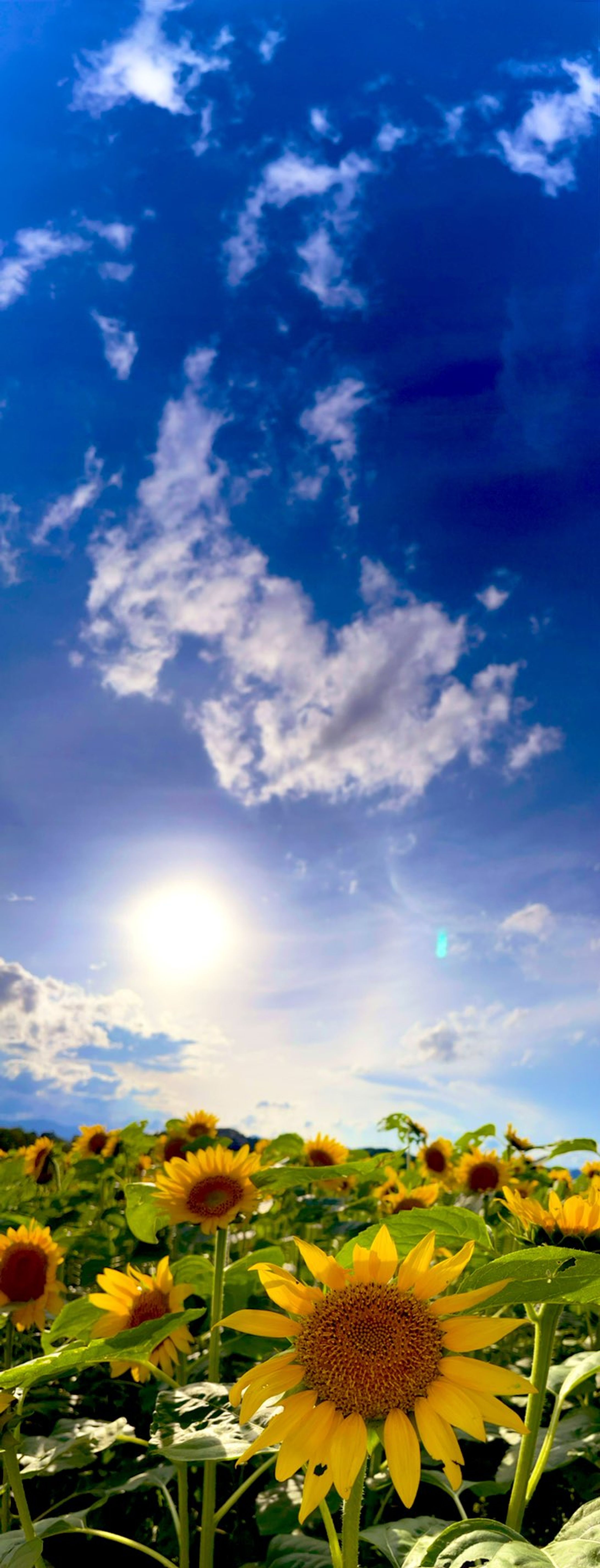 E779499D F344 4564 B3E3 5948CAE78012