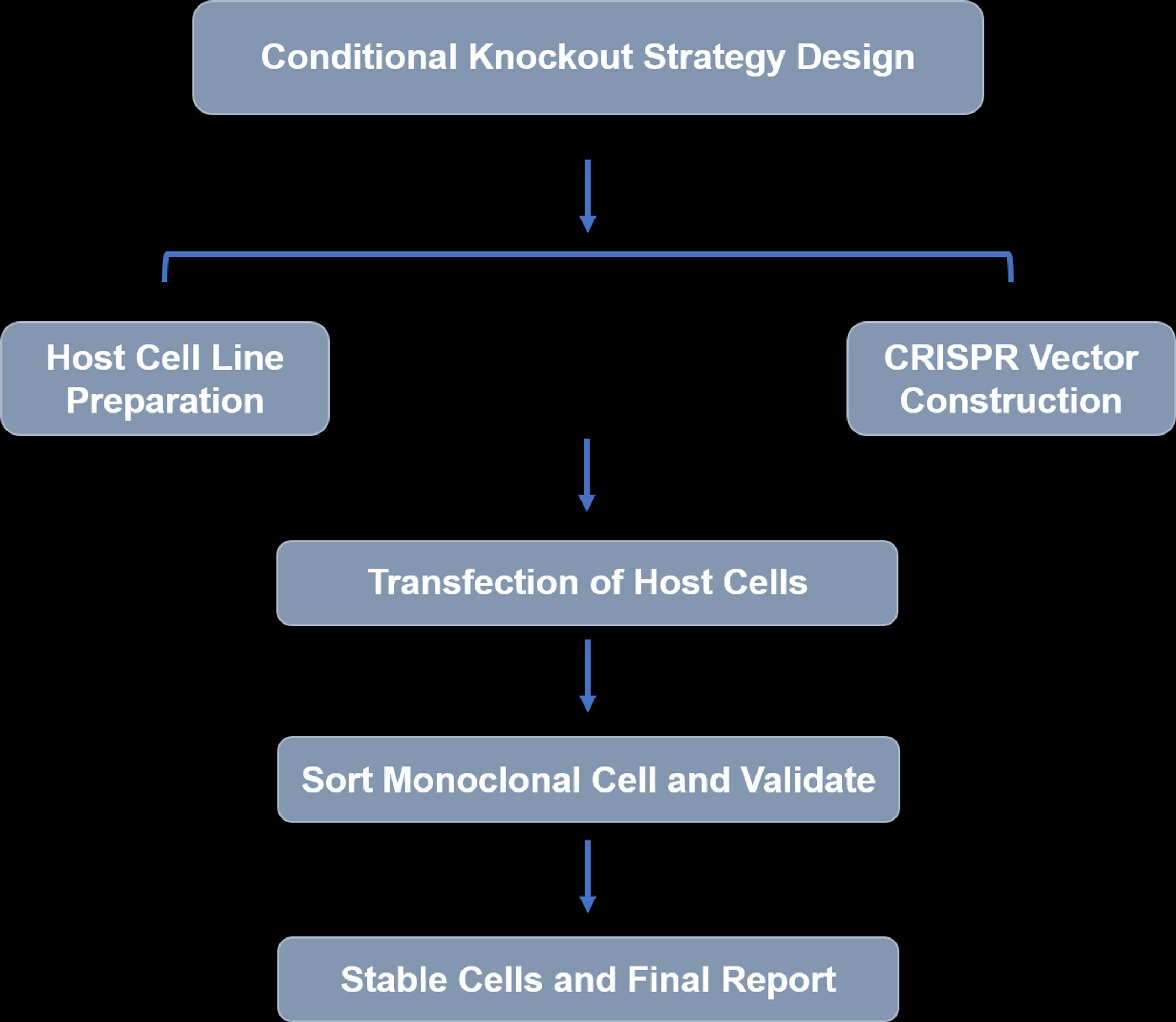 Conditional Knockout Cell Line Service 1