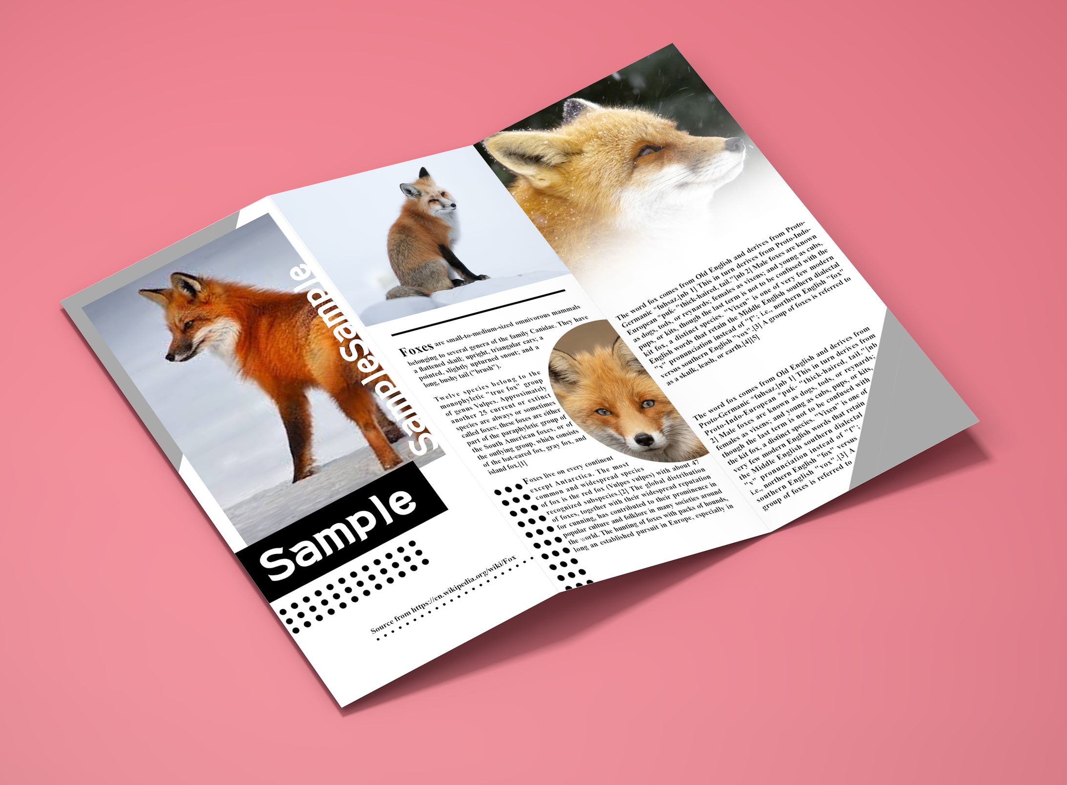 leaflet sample design